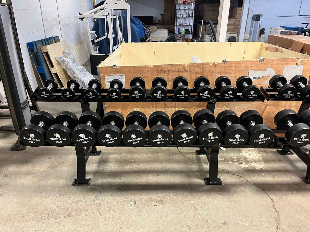 Pro Style Urethane Dumbbell Set 5-100 lbs for Fitness Training – True ...
