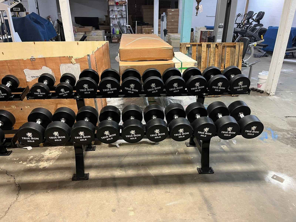 Pro Style Urethane Dumbbell Set 5-100 lbs for Fitness Training – True ...