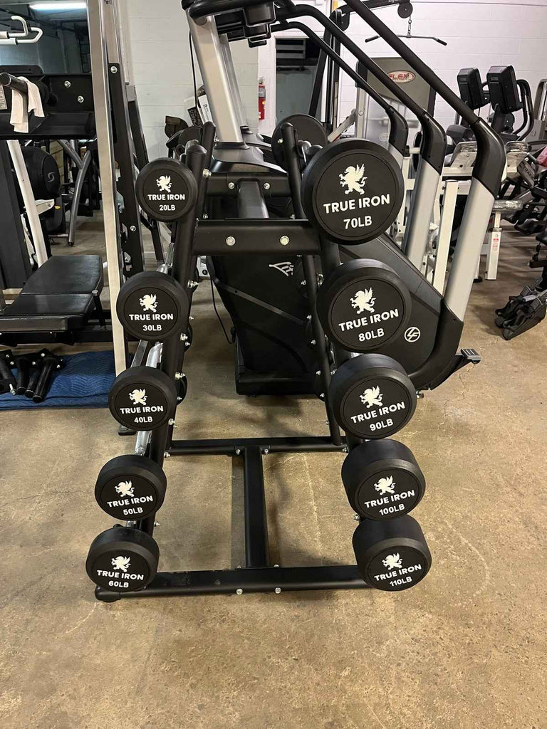 True Iron Rubber Fixed Barbell Set 20-110 with Rack! – True Iron Fitness