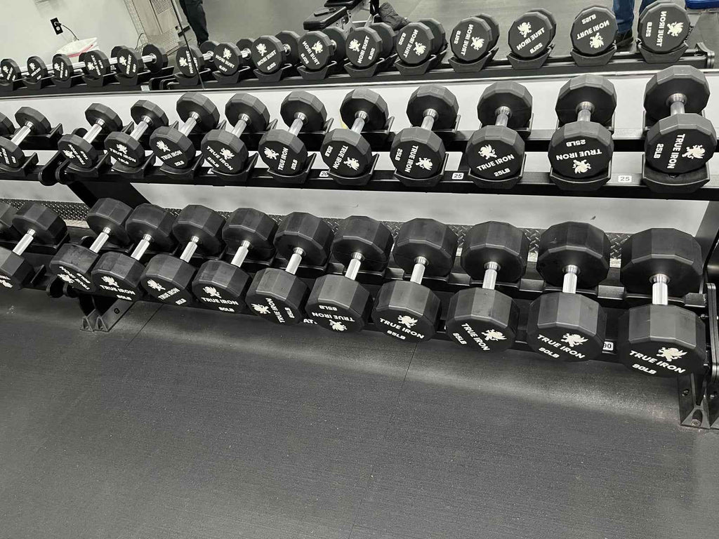 Premium 5-100 12-Sided Urethane Dumbbell Set – True Iron Fitness
